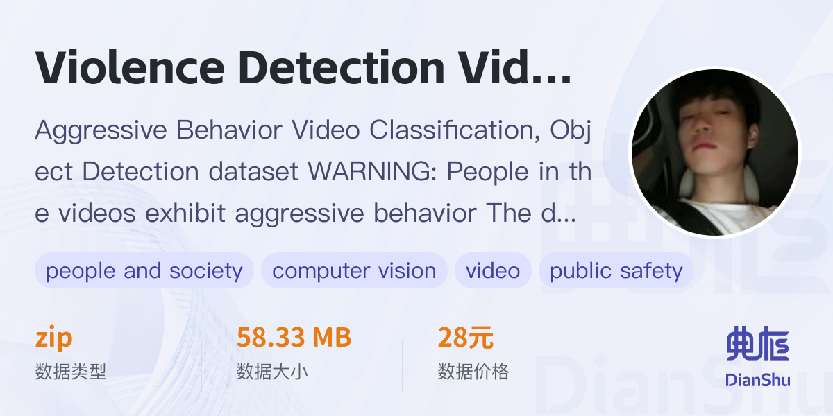 Violence Detection Video Classification - 典枢